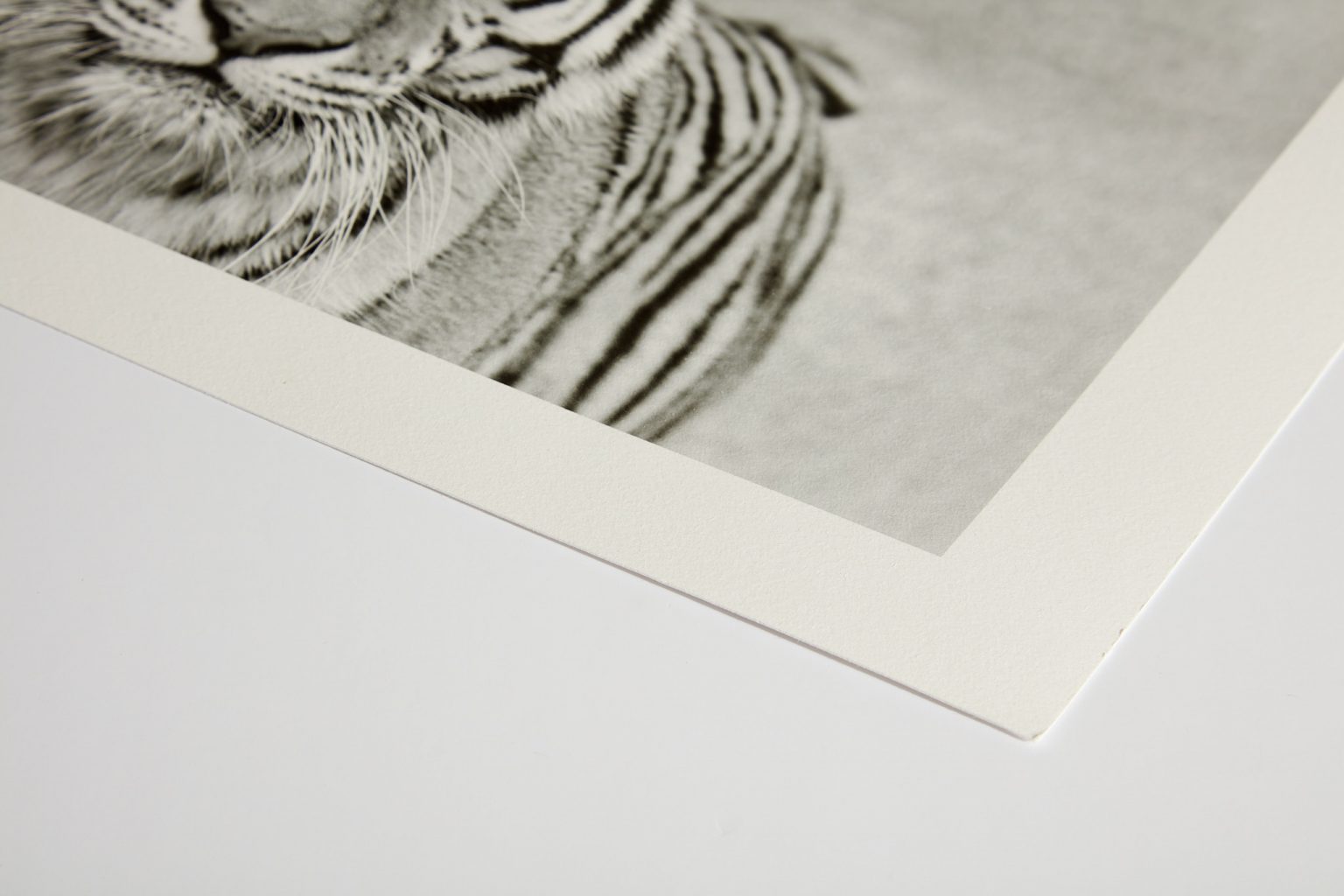 Giclée Fine Art Printing - Blue Sky Printing